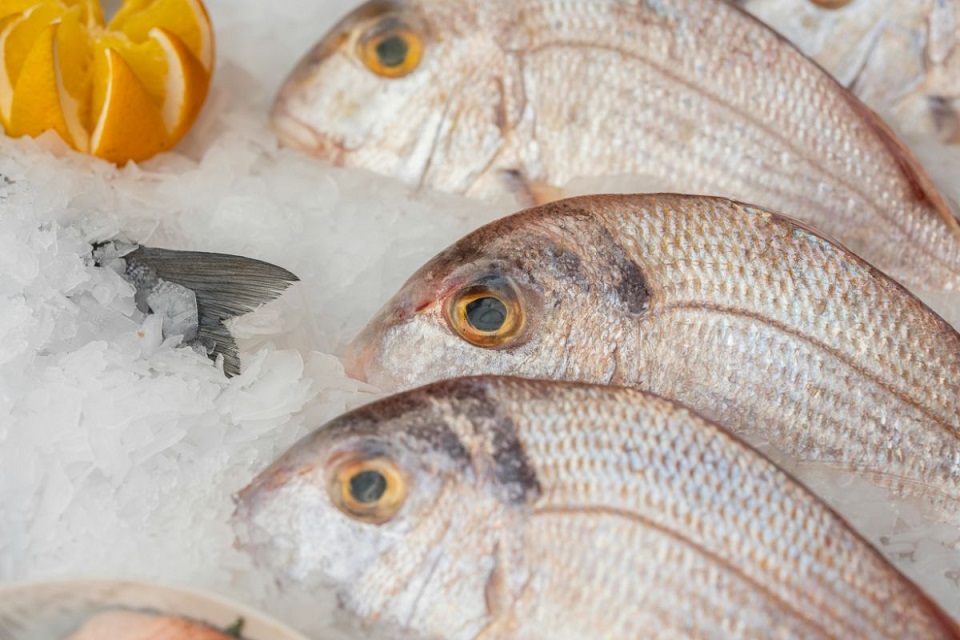 En México comemos pescado importado, pesqueros locales en crisis ...
